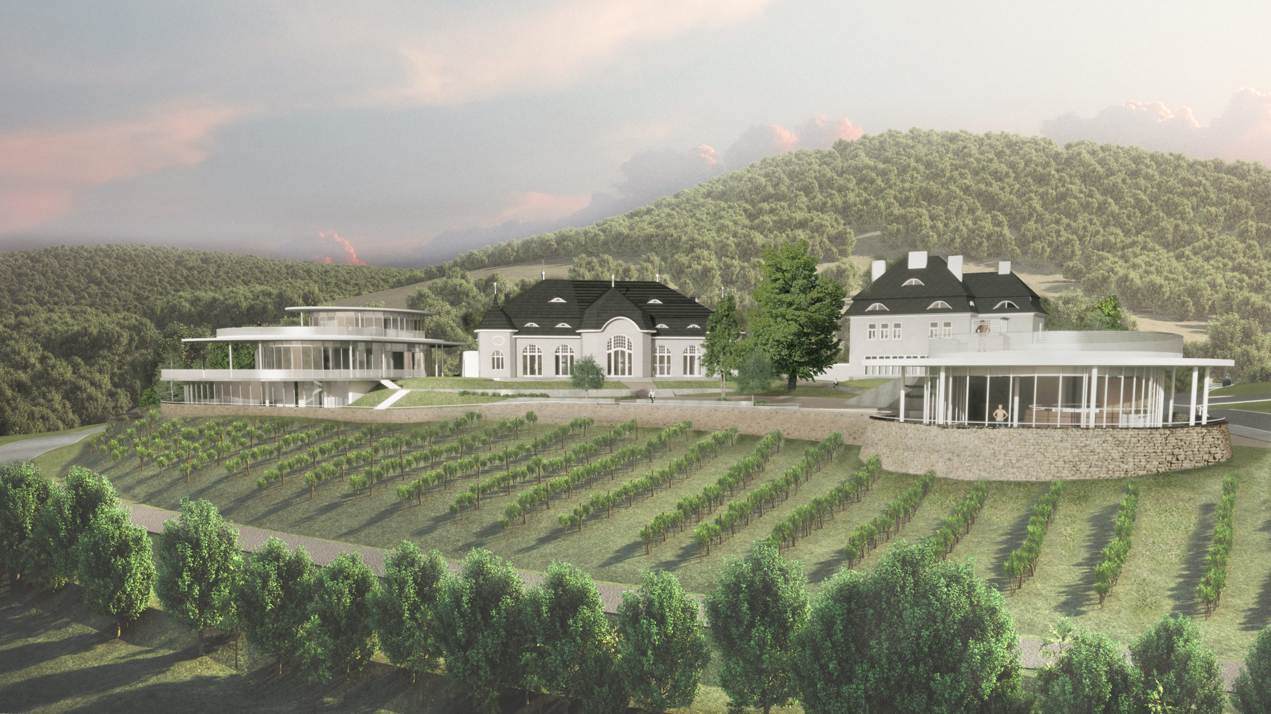 Weitsicht Cobenzl - CONVIC